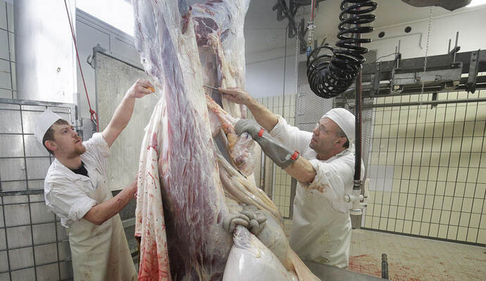 Wie entsteht mein Steak? So geht's beim Schlachter zu - Startseite
