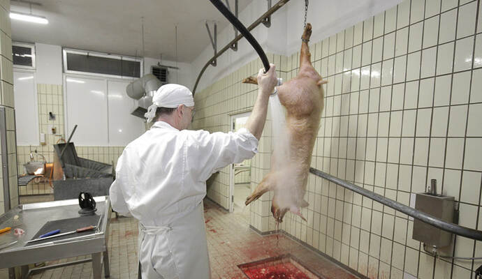 Wie entsteht mein Steak? So geht's beim Schlachter zu - Startseite