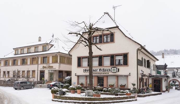 Ellmendinger Löwe ist Geschichte: Ausweg könnte Grenzsägmühle sein ...
