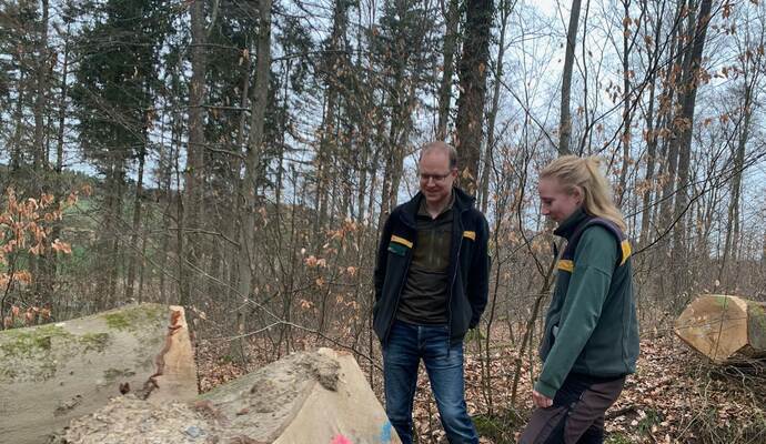 Revierleiterin erklärt: Das passiert mit dem Holz aus dem Rechminger ...